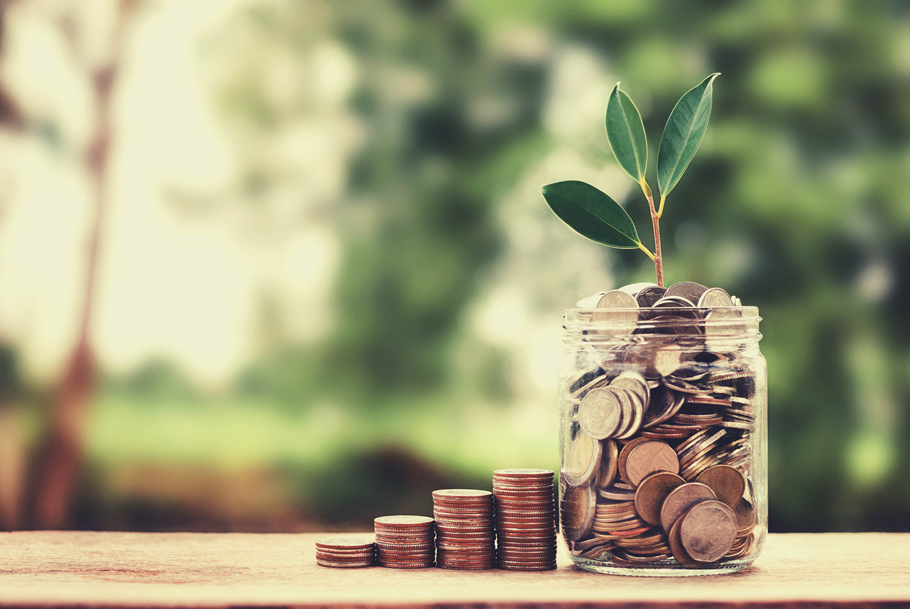 Guia completo dos investimentos: conheça as principais aplicações | CLAUDIA