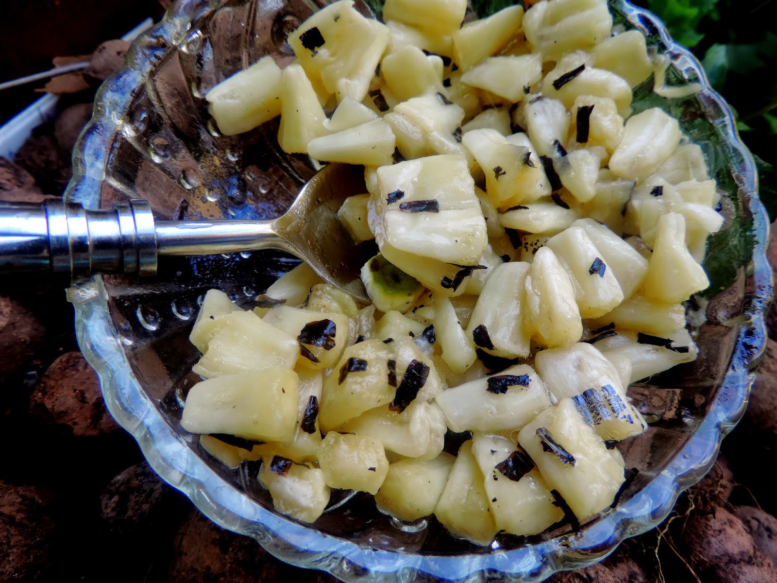 Você já pensou em comer… a fruta da costela-de-adão? | CLAUDIA Você já pensou em comer… a fruta da costela-de-adão? | CLAUDIA